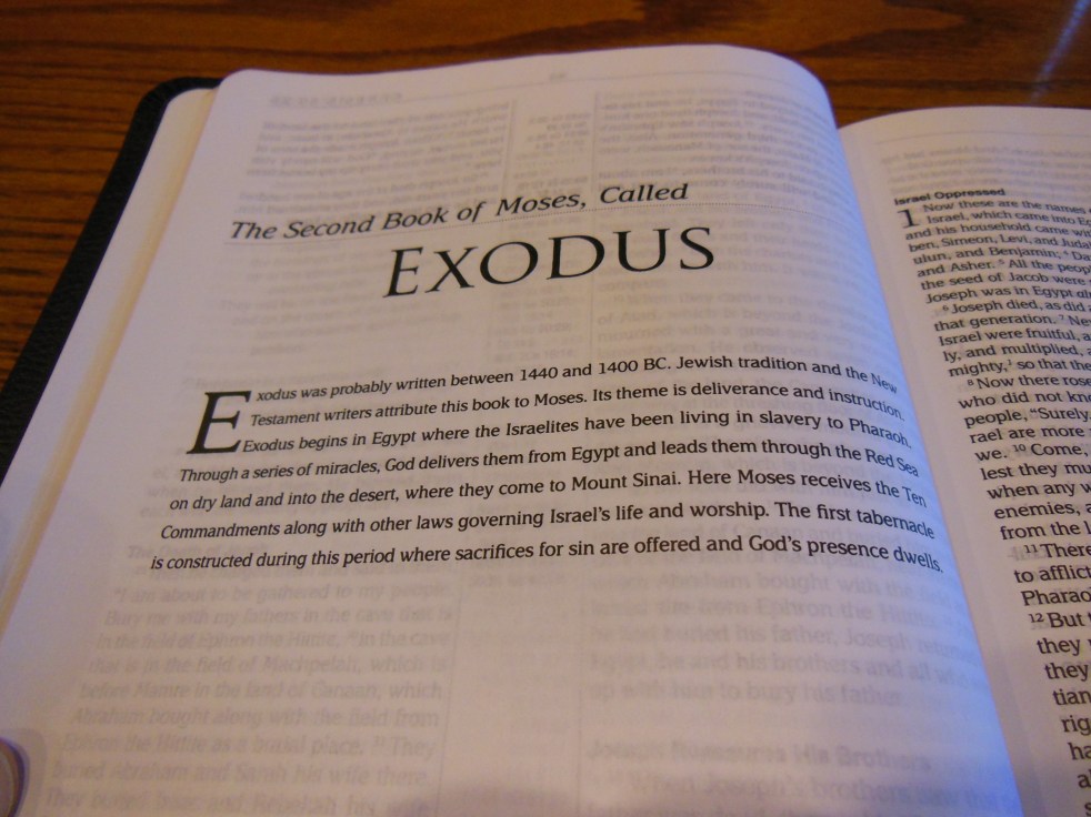 The Modern English Version (MEV) a Curious and Surprising Translation ...