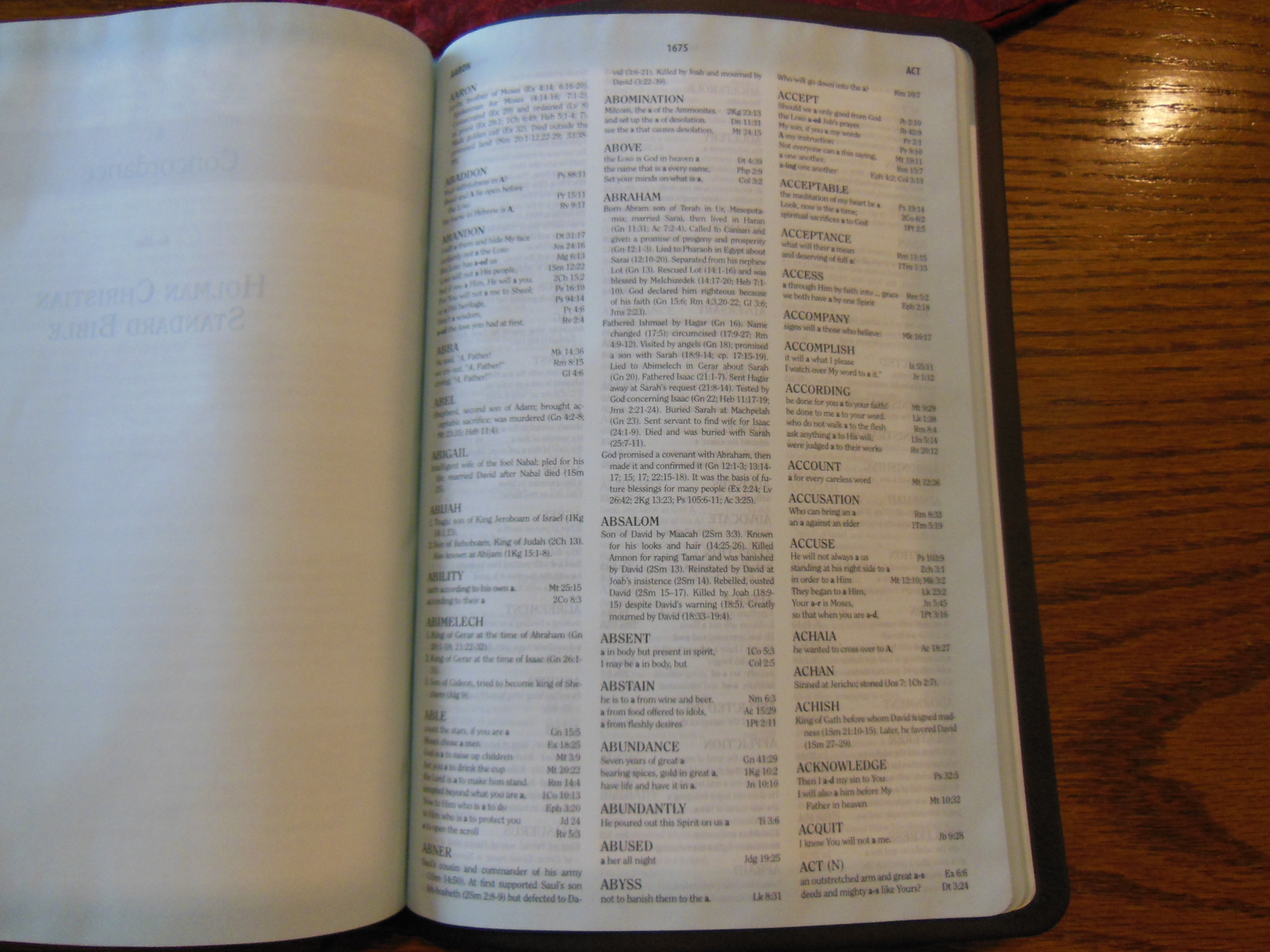 Holman woman’s hcsb study bible 061 – Snyder's Soapbox