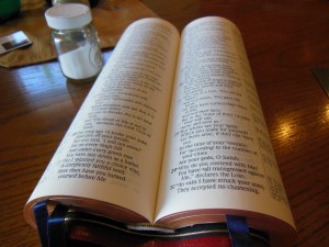 The Best Bibles in the World! Yes, Premium Bibles are Still Being Made ...