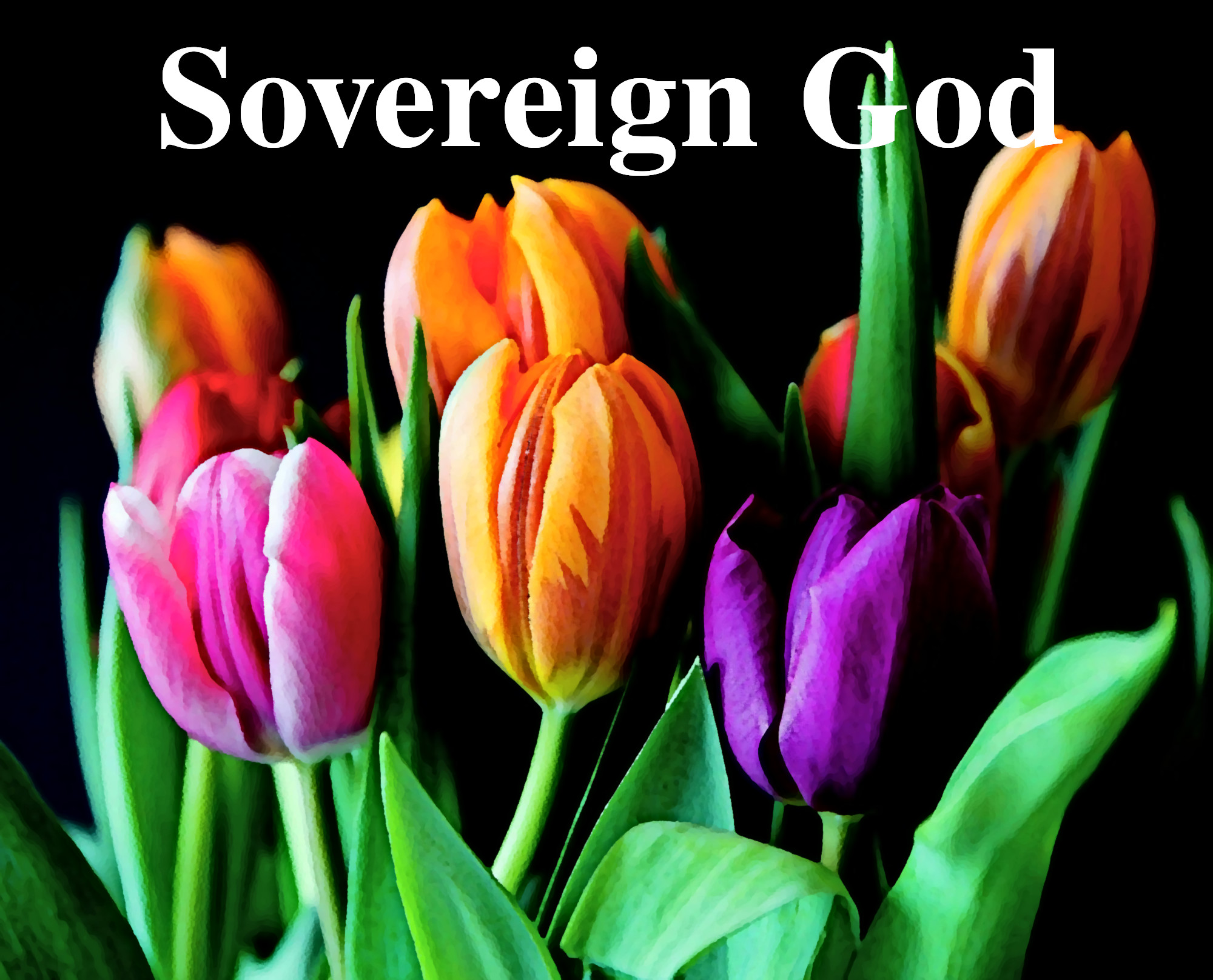 Christians Throughout History Believed in God’s Sovereign Election. It ...